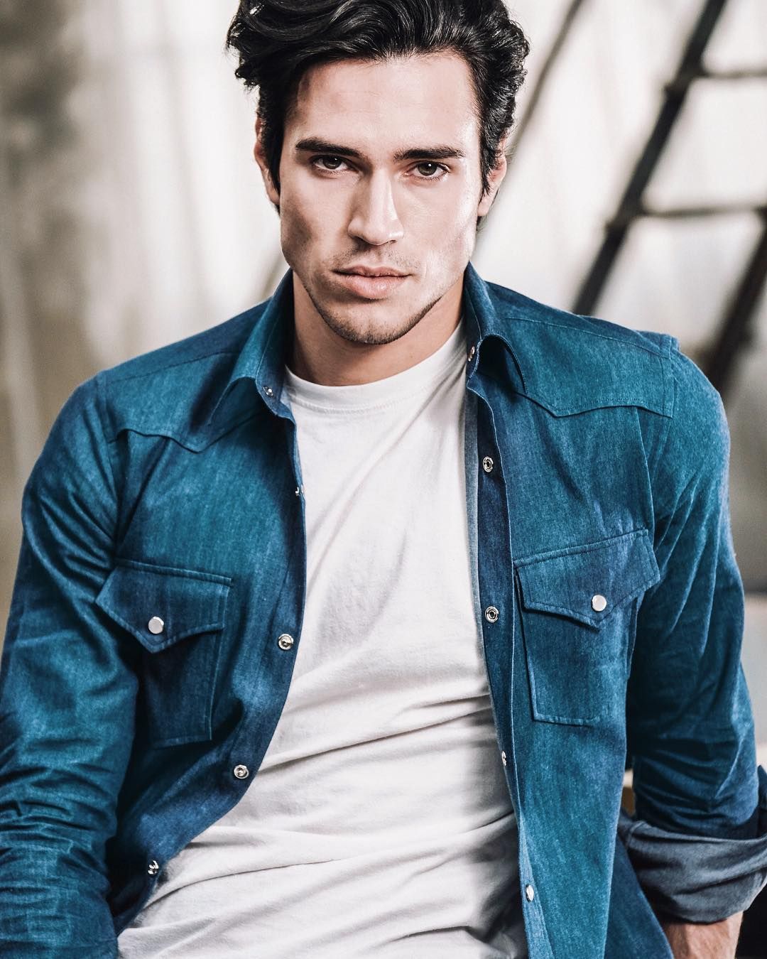 My Fancast/Dreamcast: From Blood and Ash series by Jennifer L ...